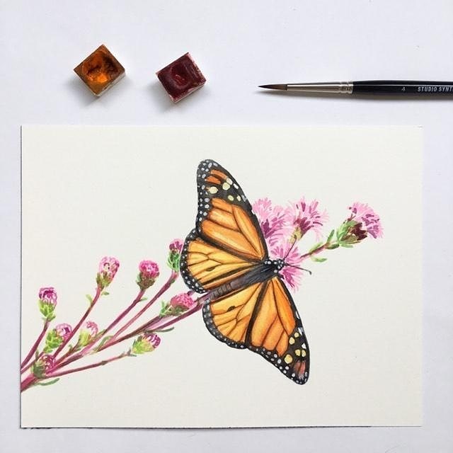 The endurance of the Monarch Butterfly can show us how to save ourselv ...
